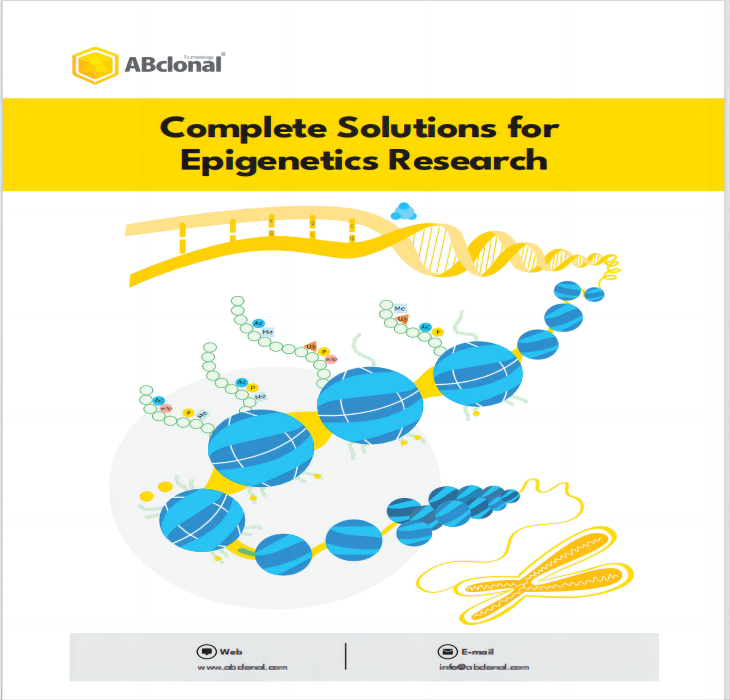 Brochures - ABclonal