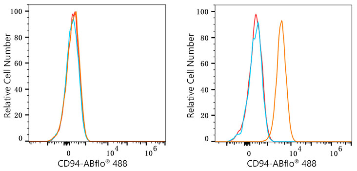 ABflo® 488 Rabbit anti-Human CD94 mAb-Monoclonal Antibodies - ABclonal