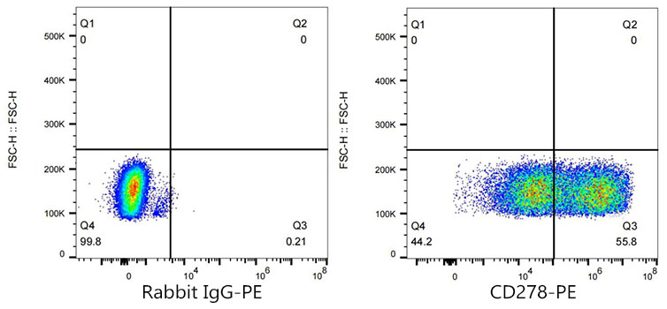 PE Rabbit anti-Mouse ICOS/CD278 mAb-Monoclonal Antibodies - ABclonal