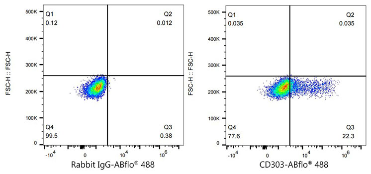 ABflo® 488 Rabbit anti-Human CD303/BDCA-2 mAb-Monoclonal Antibodies ...