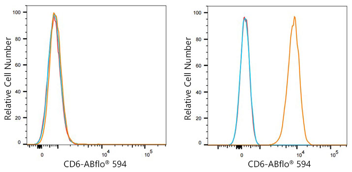 ABflo® 594 Rabbit anti-Human CD6 mAb-단일클론항체(mAb) - ABclonal