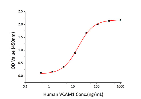 Bio-Markers & CD Antigens - ABclonal