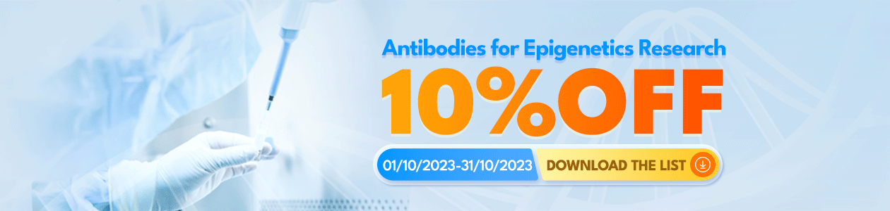 Epigenetic-Featured Topics - ABclonal